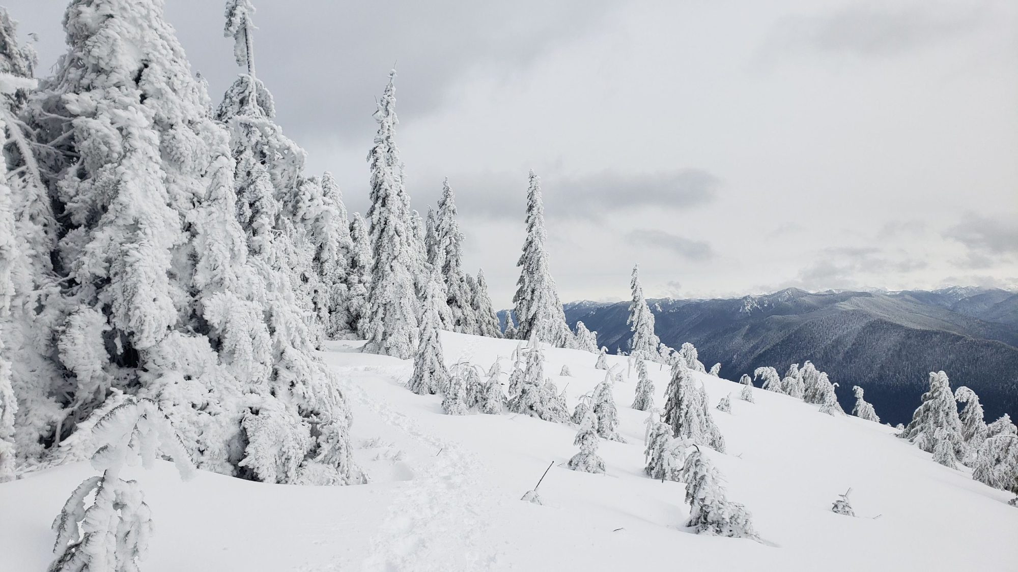 Mount Muller - Hike2Hike.com